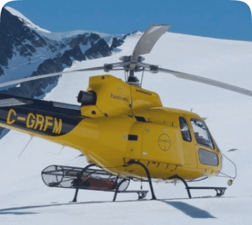 Safety Management Use Case